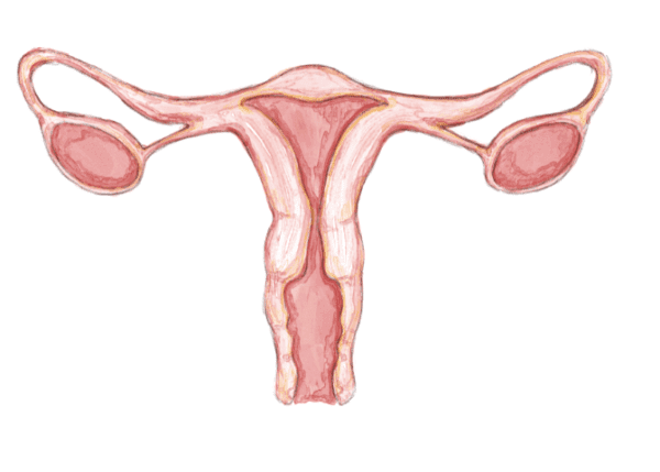 Vaginal Discharge Everything You Need To Know Medmate
